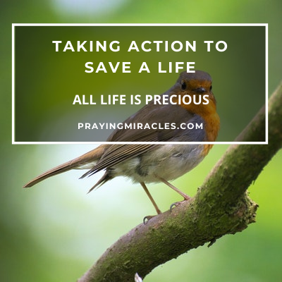 Taking Action To Save A Life – All Life Is Precious – Praying Miracles