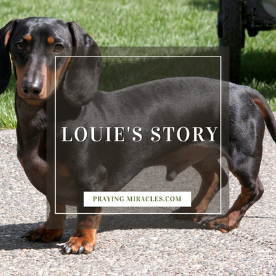 Louie’s Story – An Unexpected Incident – Praying Miracles